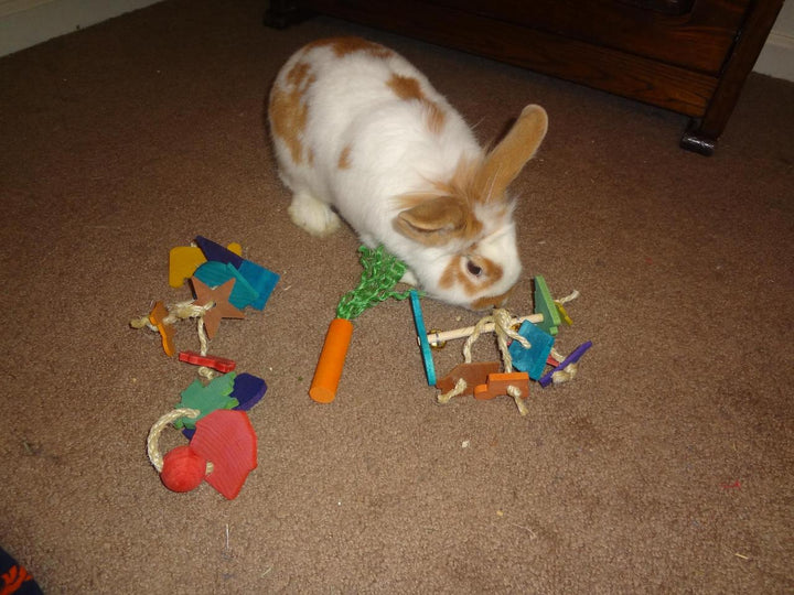 Happy Rabbit Toys